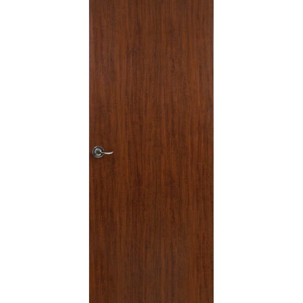 Model D40 - Professional Door
